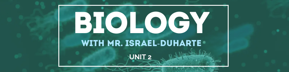 STEM E-Learning: All courses